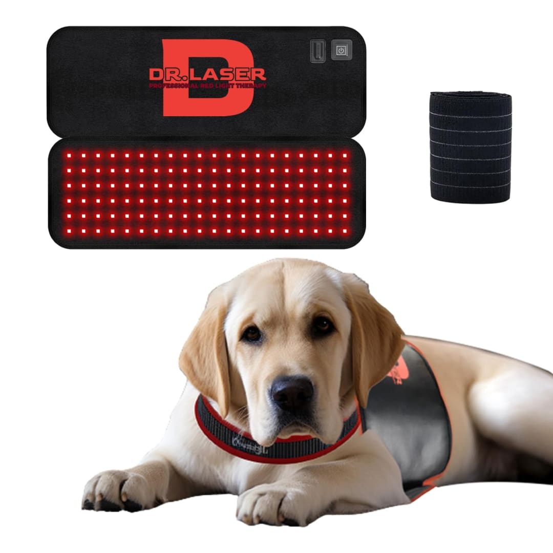 Top 5 Dog Pain Relief Devices in 2024 – ConsumerRatingTop