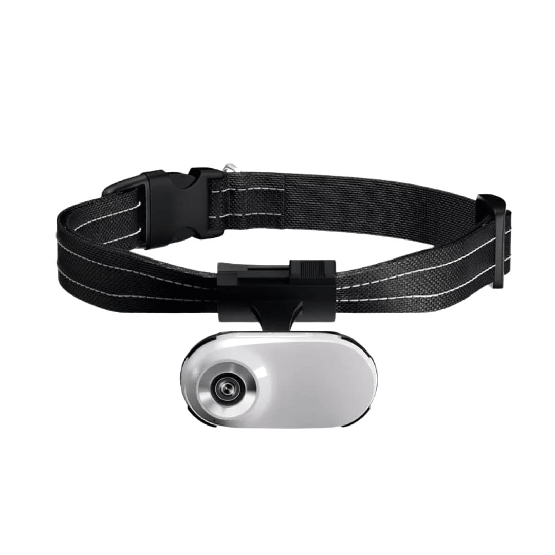 Top 5 Cat Collar Camera 2024 CAD – ConsumerRatingTop