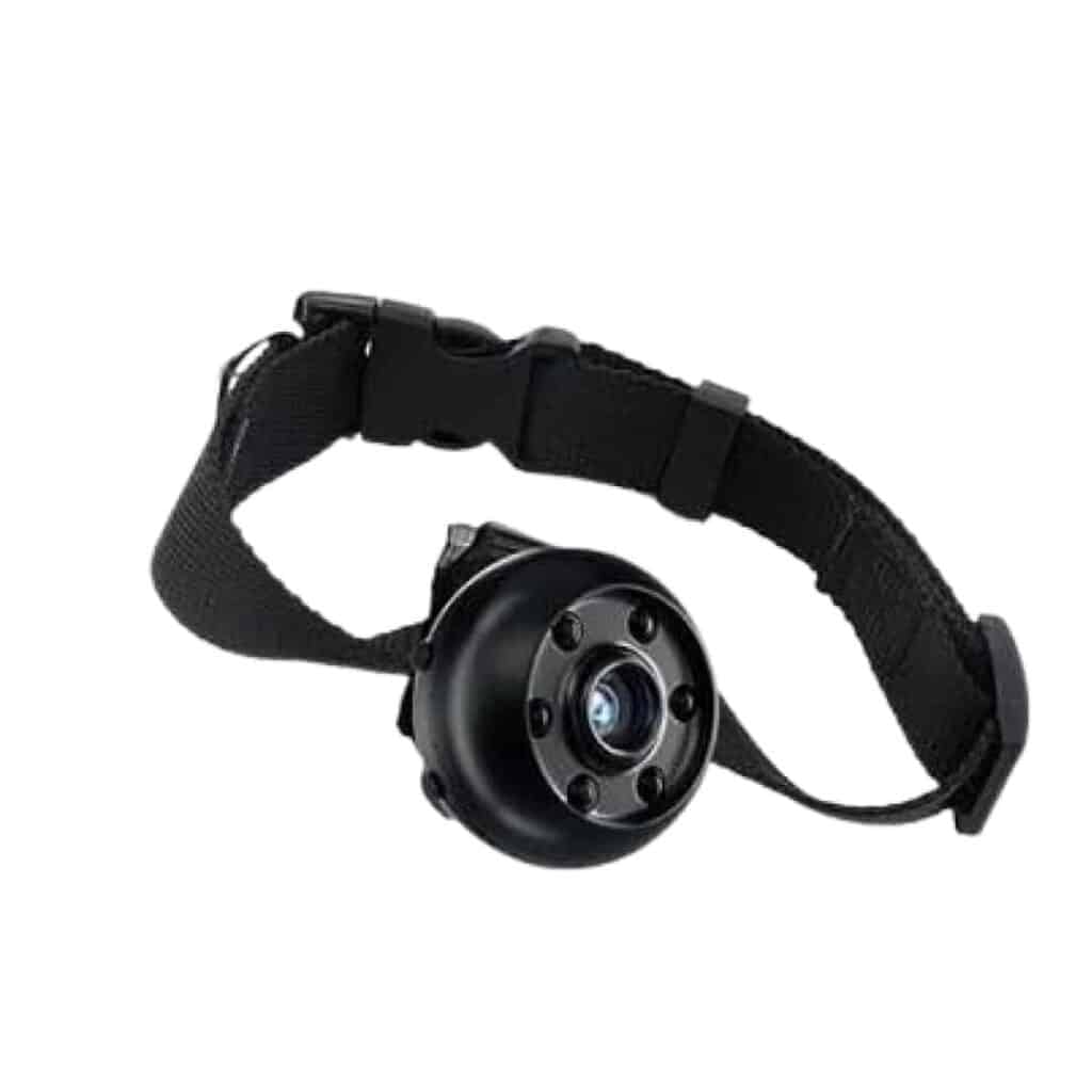 Top 5 Cat Collar Camera 2024 CAD – ConsumerRatingTop