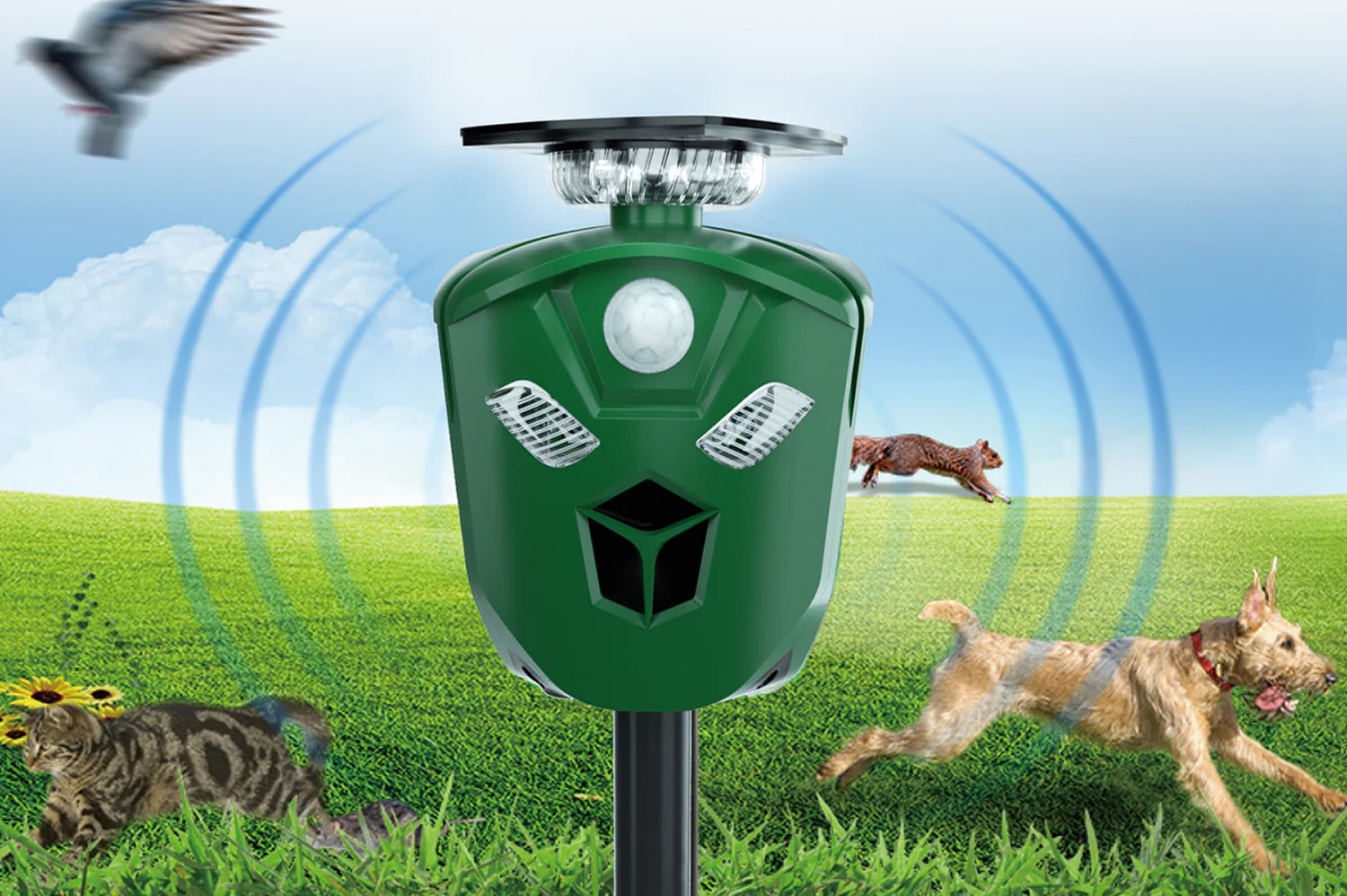 Best 5 Ultrasonic Bat Repellents of 2025: Protect Your Home Without ...